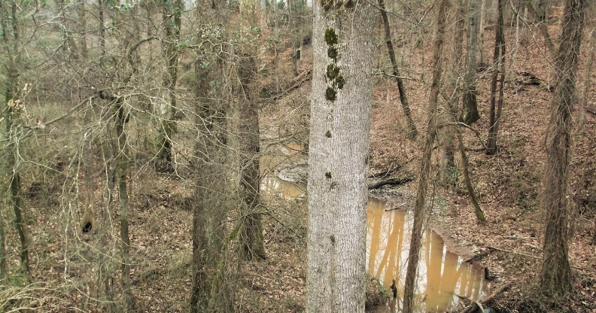 IWALLK: A Living Magazine - Day 194 - Homecoming - Colbert to Bowman