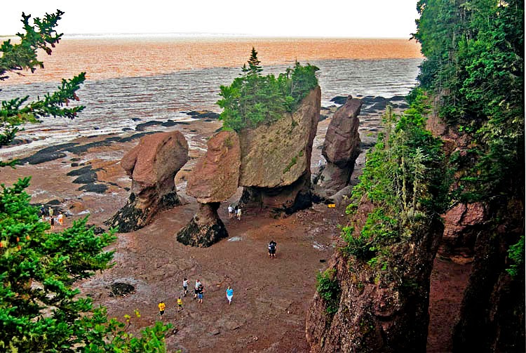 Fascinating Humanity: Canada's Amazing Bay Of Fundy