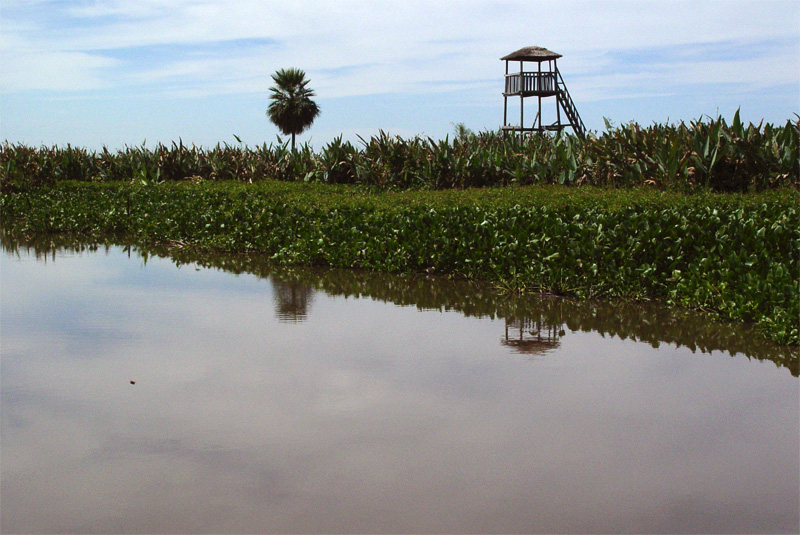 "Explorando Horizontes: Turismo Global y Perspectivas Locales en ...