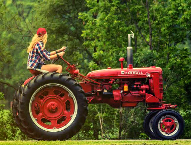 Just A Car Guy: total picture. I'm not sure if it's because it's a cool ...