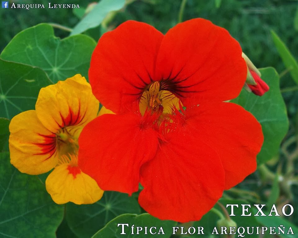 Adegopa: Manual de Buenas Prácticas Ambientales para el Guía de Turismo