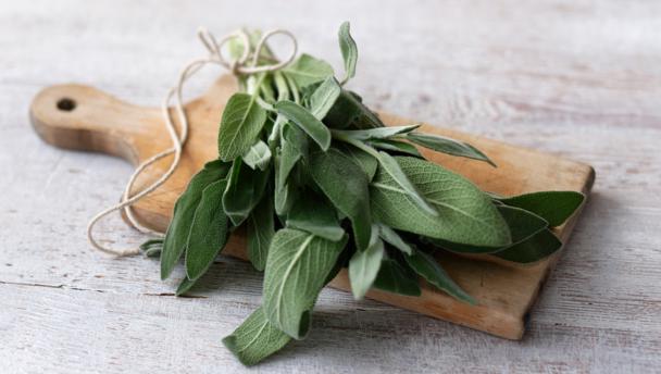 Sage Medicinal Properties – Gurme Vegan