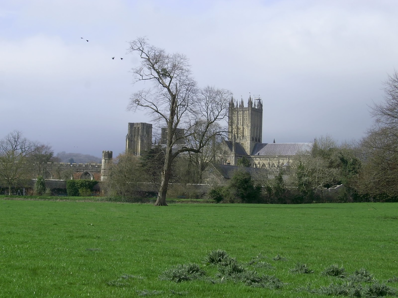 Cindy's Snaps: A lovely stay in Compton Bishop, in beautiful Somerset ...