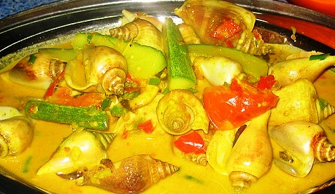 LET US ALL BE CONNECTED: Siput Gonggong ( Dog Conch Snail )