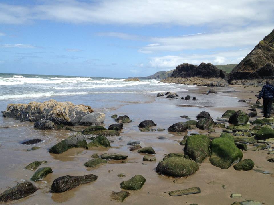 Sunday roast while spotting dolphins – New Quay – Wales ...