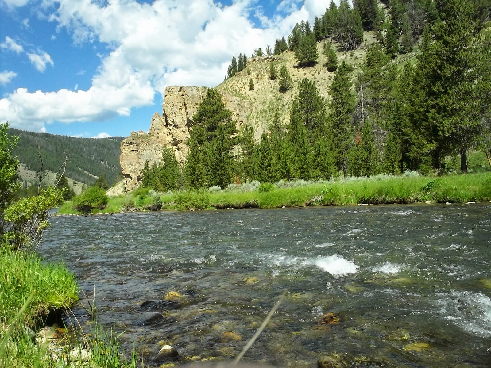 Dispatches from the Wild World: Flyfishing the Gallatin River