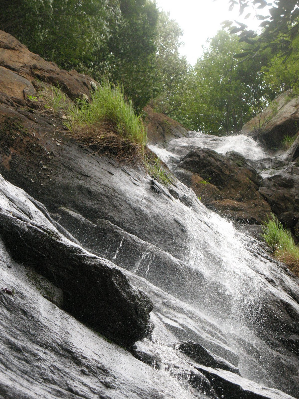 Tamilnadu Tourism: Kiliyur Falls, Yercaud