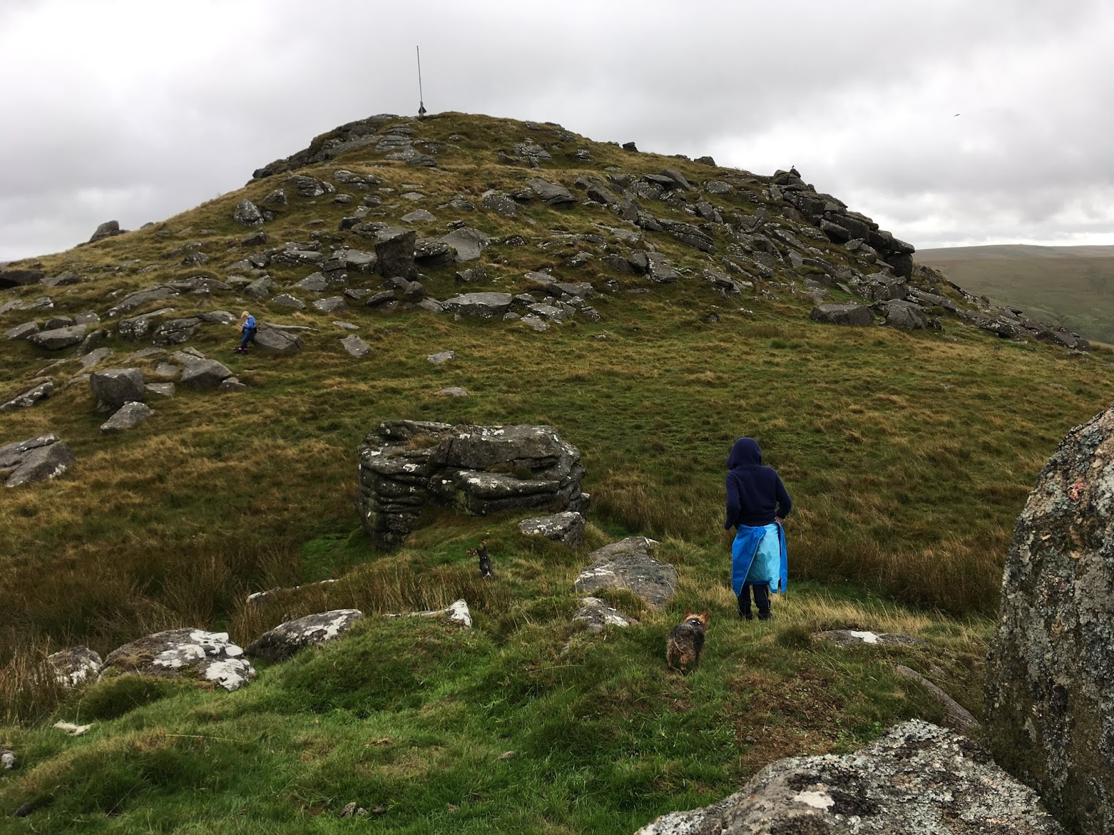 Max Piper - Tor Bagger: Dartmoor: The Tors out of Lane End