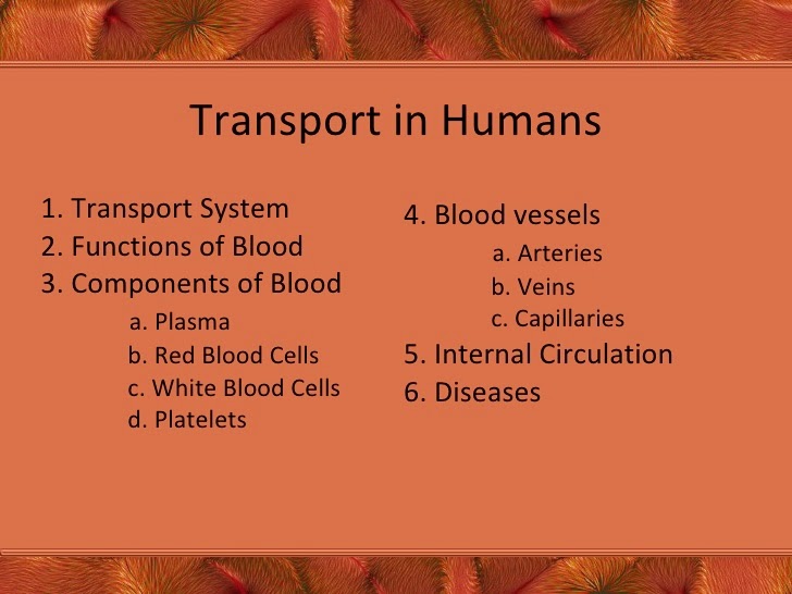 BRIEF INTRODUCTION TO TRANSPORT « SimpleBiology