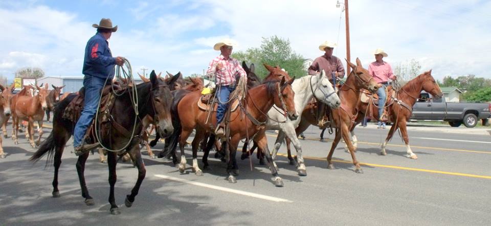 On the Road: Jake Clark's Mule Days - Ralston, WY