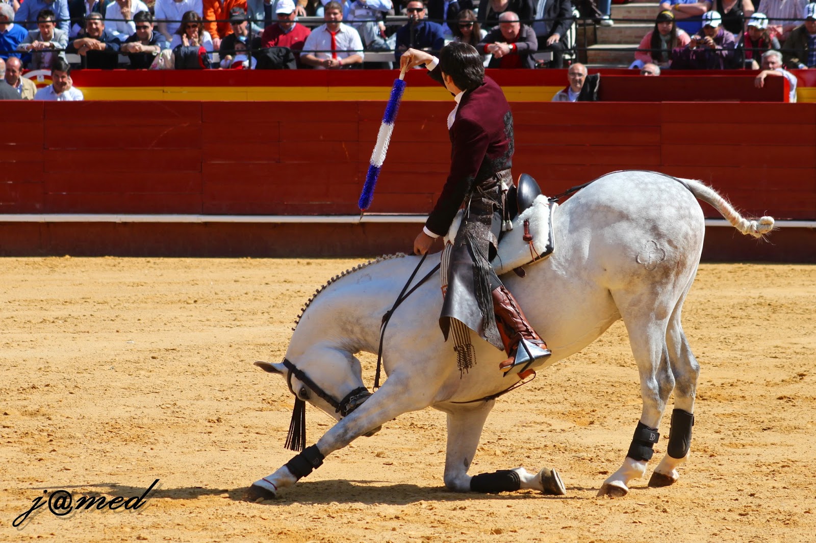 Fotojamed: Rejoneo Valencia