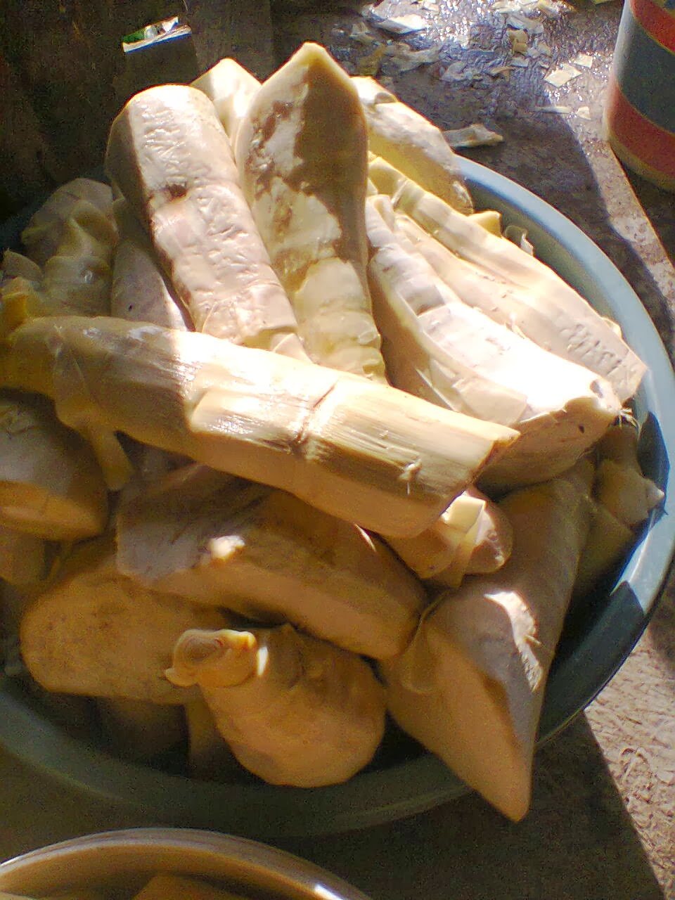 jual rebung bambu kuning