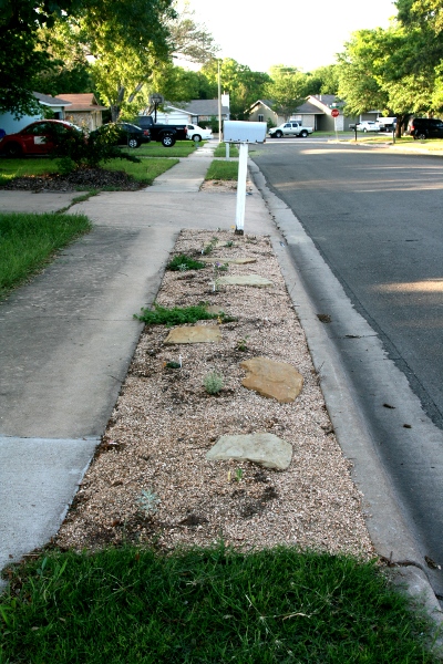 Gardening in Austin: Project Hellstrip: Planted Gardening in Austin: Project Hellstrip: Planted