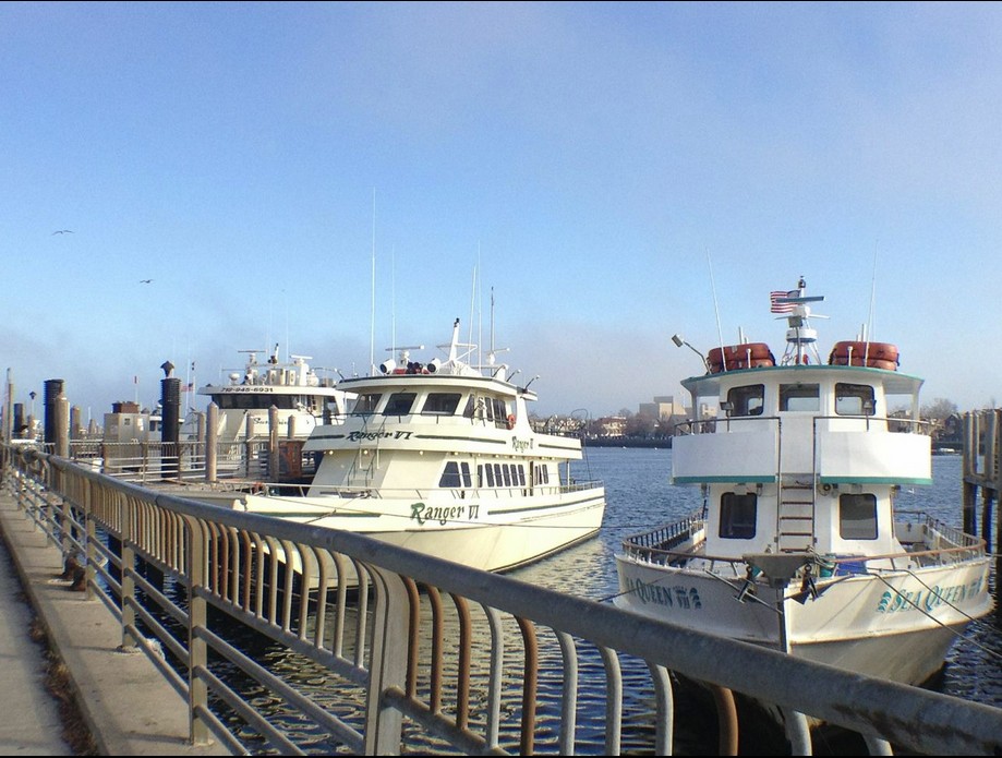 Introducing the Brooklyn Ghostbusters