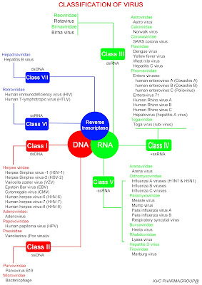 Classification of Viruses