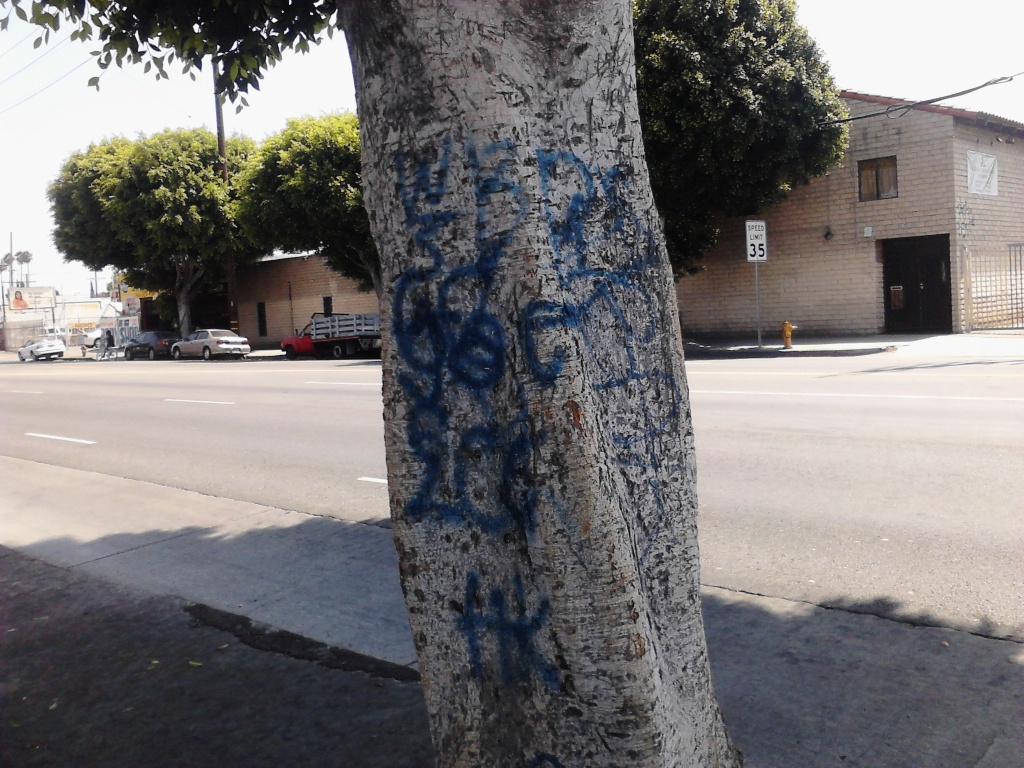blood gangs graffiti: black Panthers stones nation ( BPS )