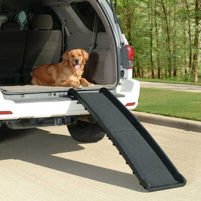 The Best Pet Travel Accessories for Dogs | Australian Dog Lover