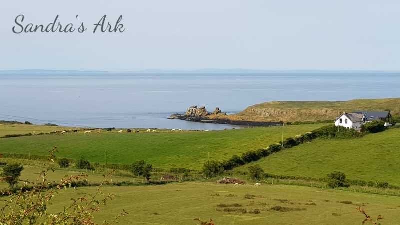 Sandra's Ark: Islandmagee - A to Z of Places I have Visited