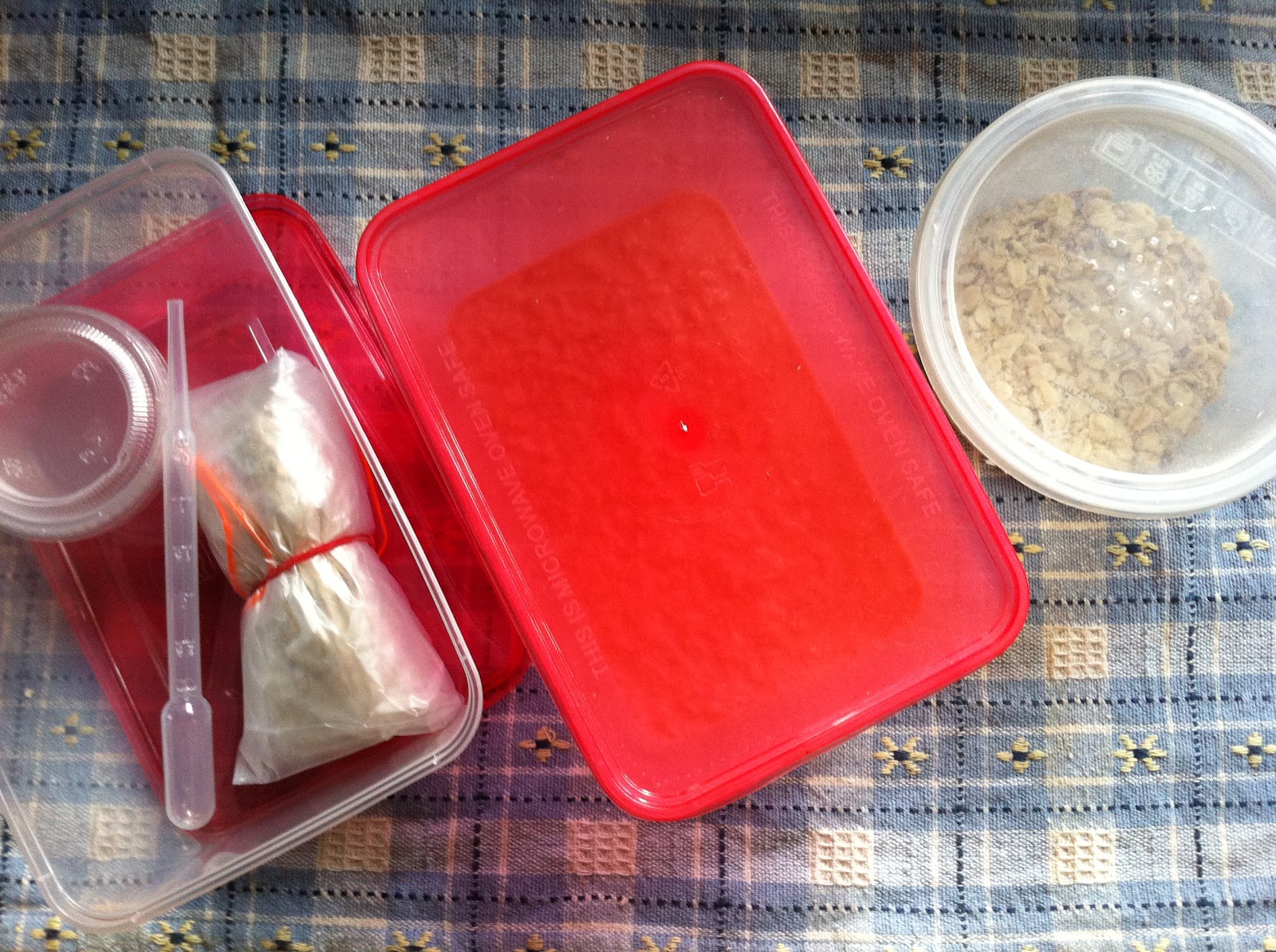 Happy Guppies: Microworms (Live Fish Food)