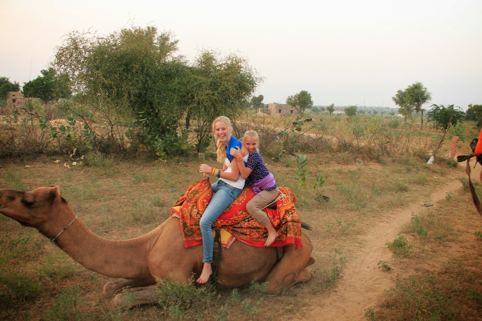 Familie Nijdam in India: Kameel rijden