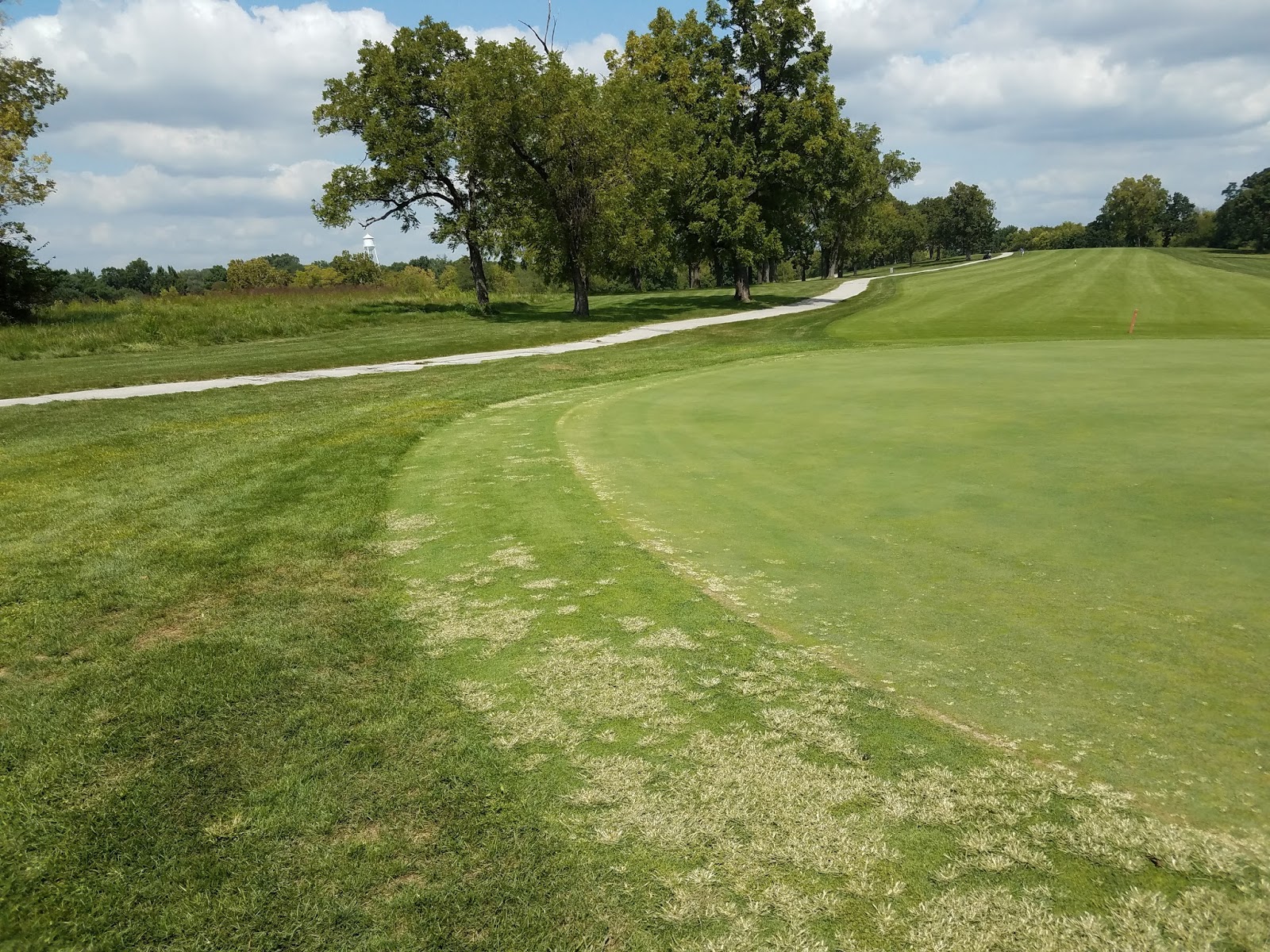 Minor Park Golf Course Maintenance: White Goose Grass