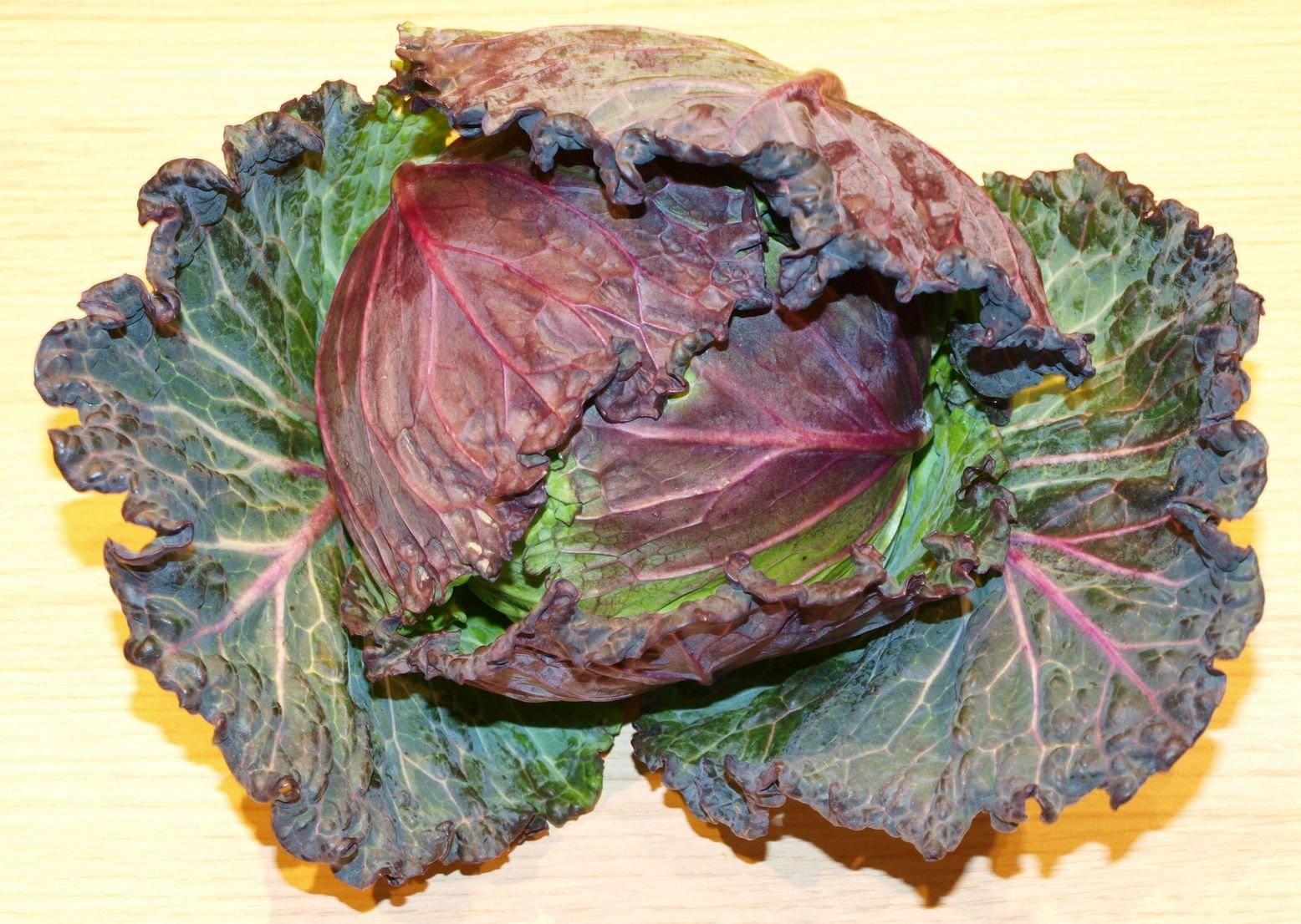 Mark's Veg Plot: Of Cabbages and Kings...