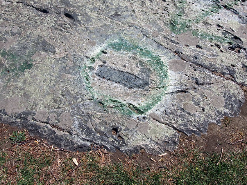 OTIS (Odd Things I've Seen): Tracking Satan: The Devil’s Hoofprints