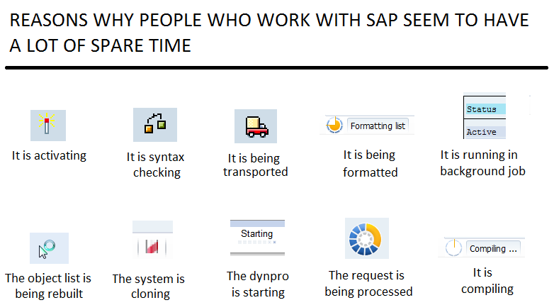 SAP rage comics