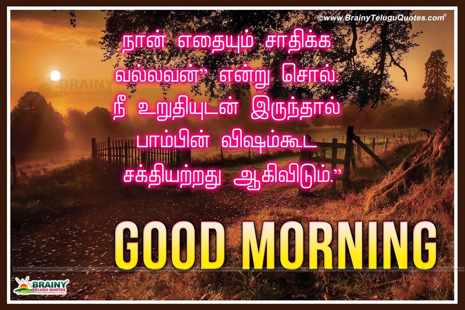 Powerful Inspirational Quotes For 2024 Tamil Taffy Federica