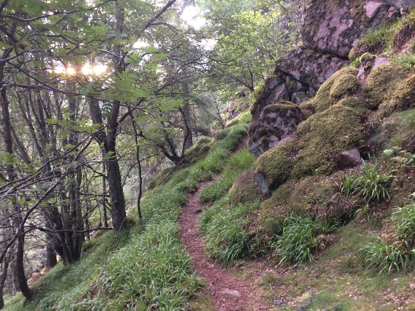 Deesidewalks.com: Around Craigendarroch