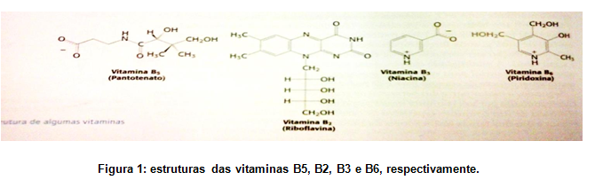 PIBID e o Ensino de Química: VITAMINA B