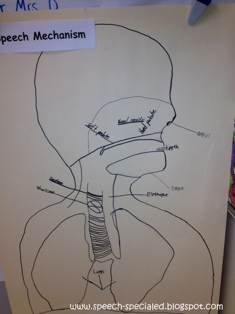 The Dynamic Duo: My Speech Scientists!!!