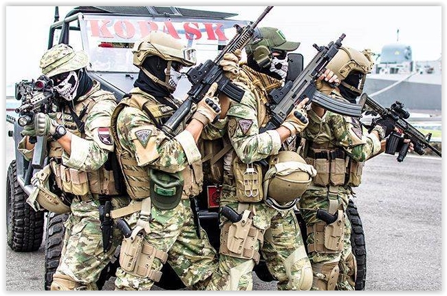 DEFENSE STUDIES: TNI AL Akan Bentuk Pusat Komando Kopaska