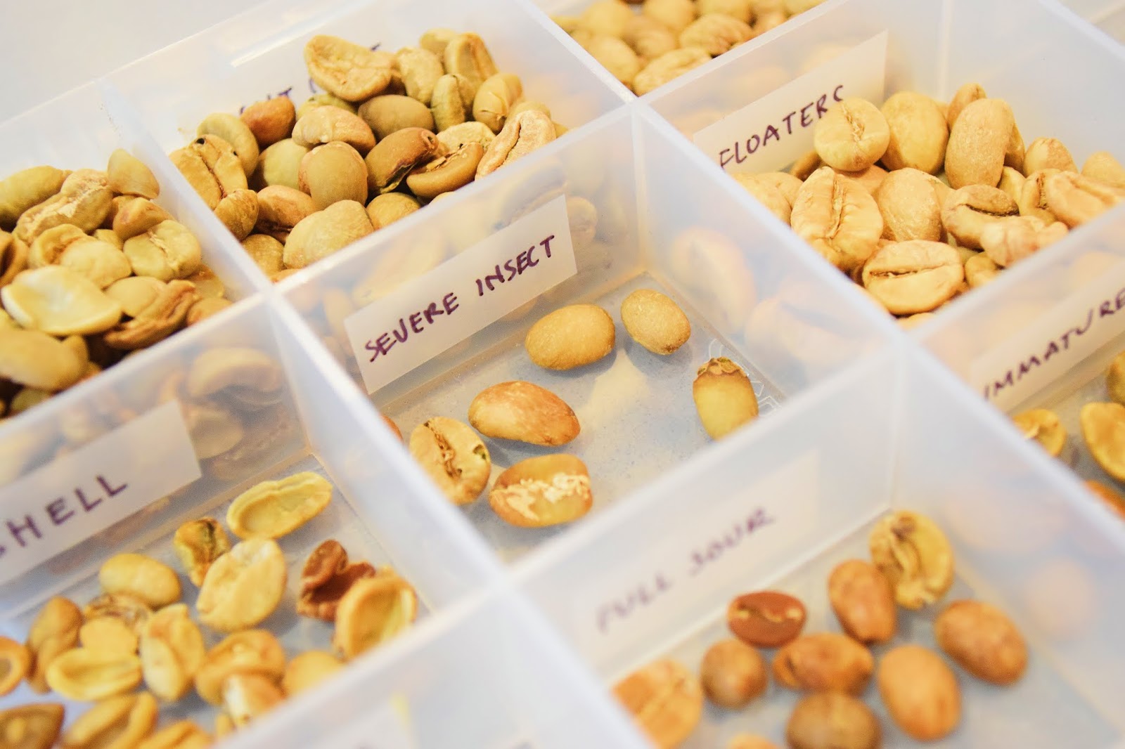 Product Review: Open up your senses and learn more about Coffee with JJ ...