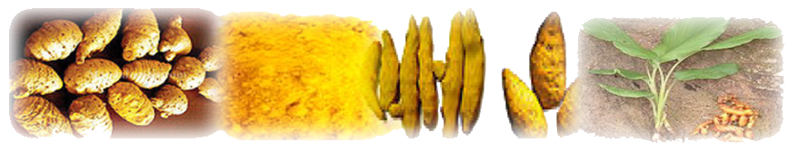 Properties of turmeric