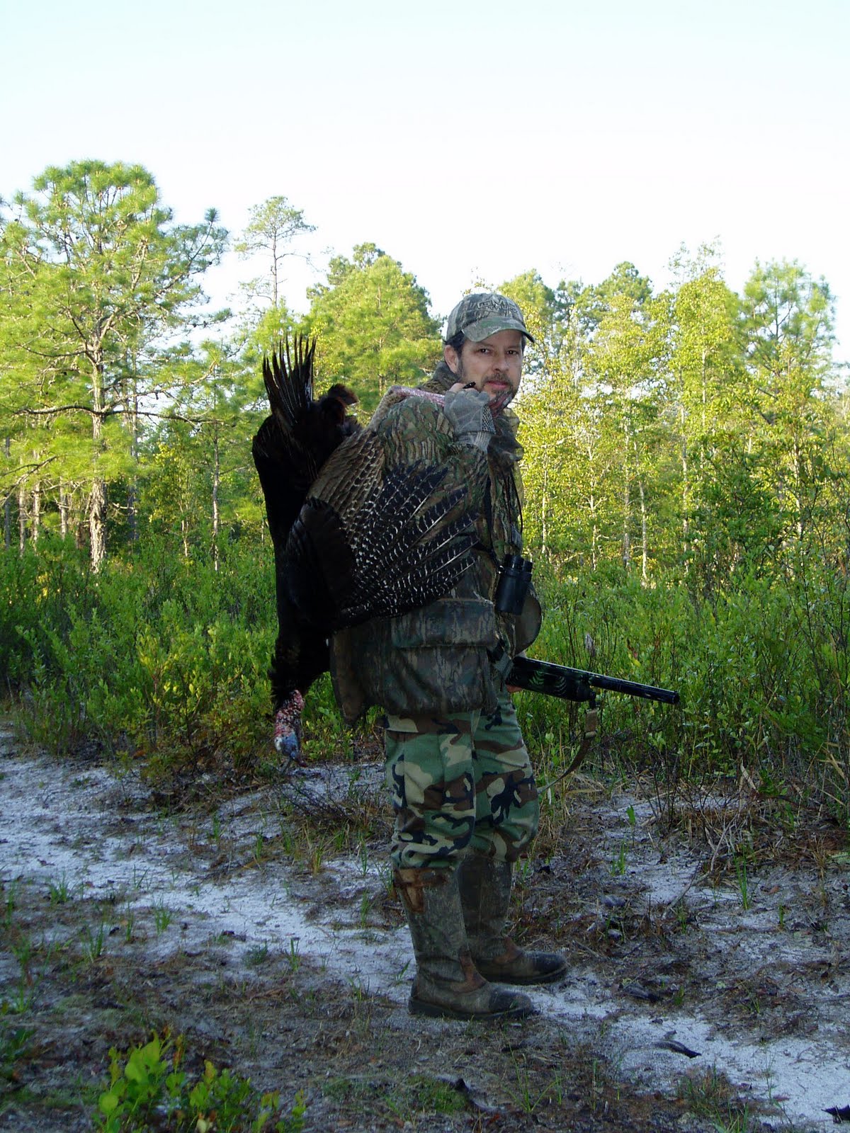 trophy-hunting: Florida Spring Gobbler Season Report - #6 -Fourth Weekend!