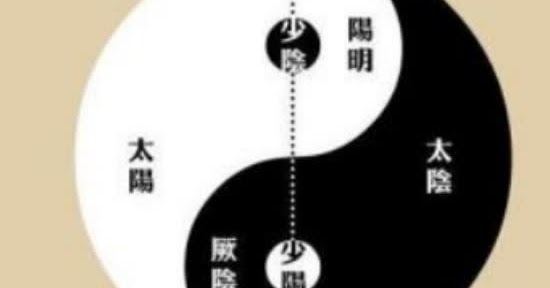 Explain Your Bodys Yin And Yang And Deficiency And Excess ...