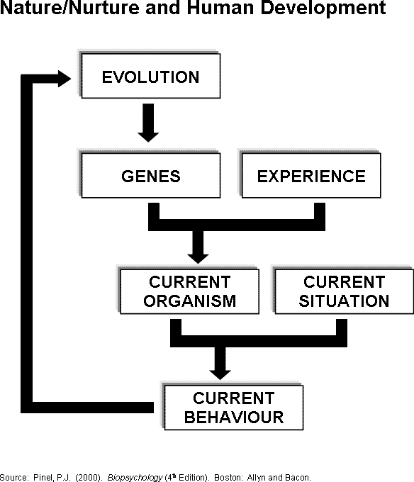The Earthly Record of my Internal and External Experience.: The ...