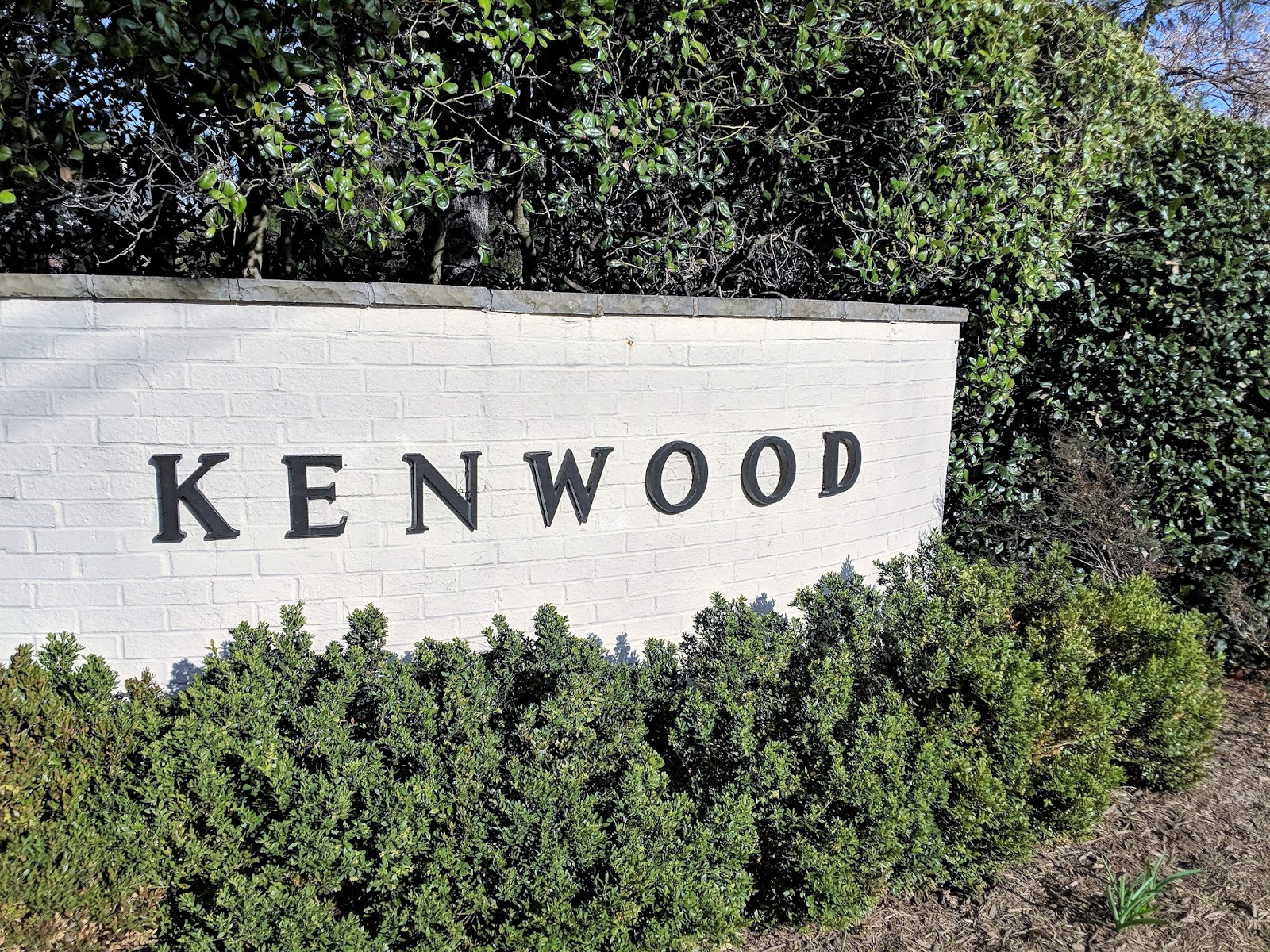 Robert Dyer @ Bethesda Row: Kenwood cherry blossoms at their peak (Photos)