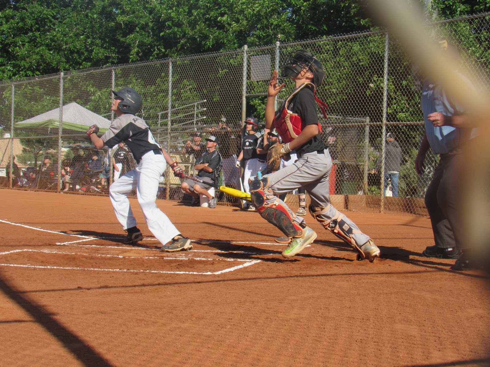 Watch This Star Soar: Xander Hernandez: Spring Baseball in the Desert ...
