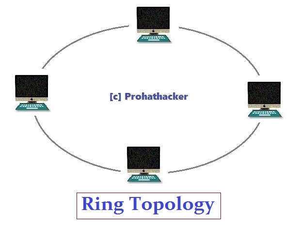 Computer Network Topology