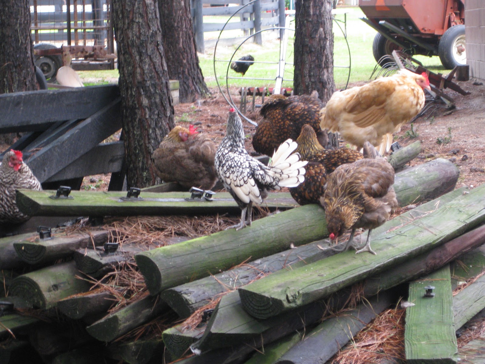 The Sharps: Farm Tour Day - Ray Farms