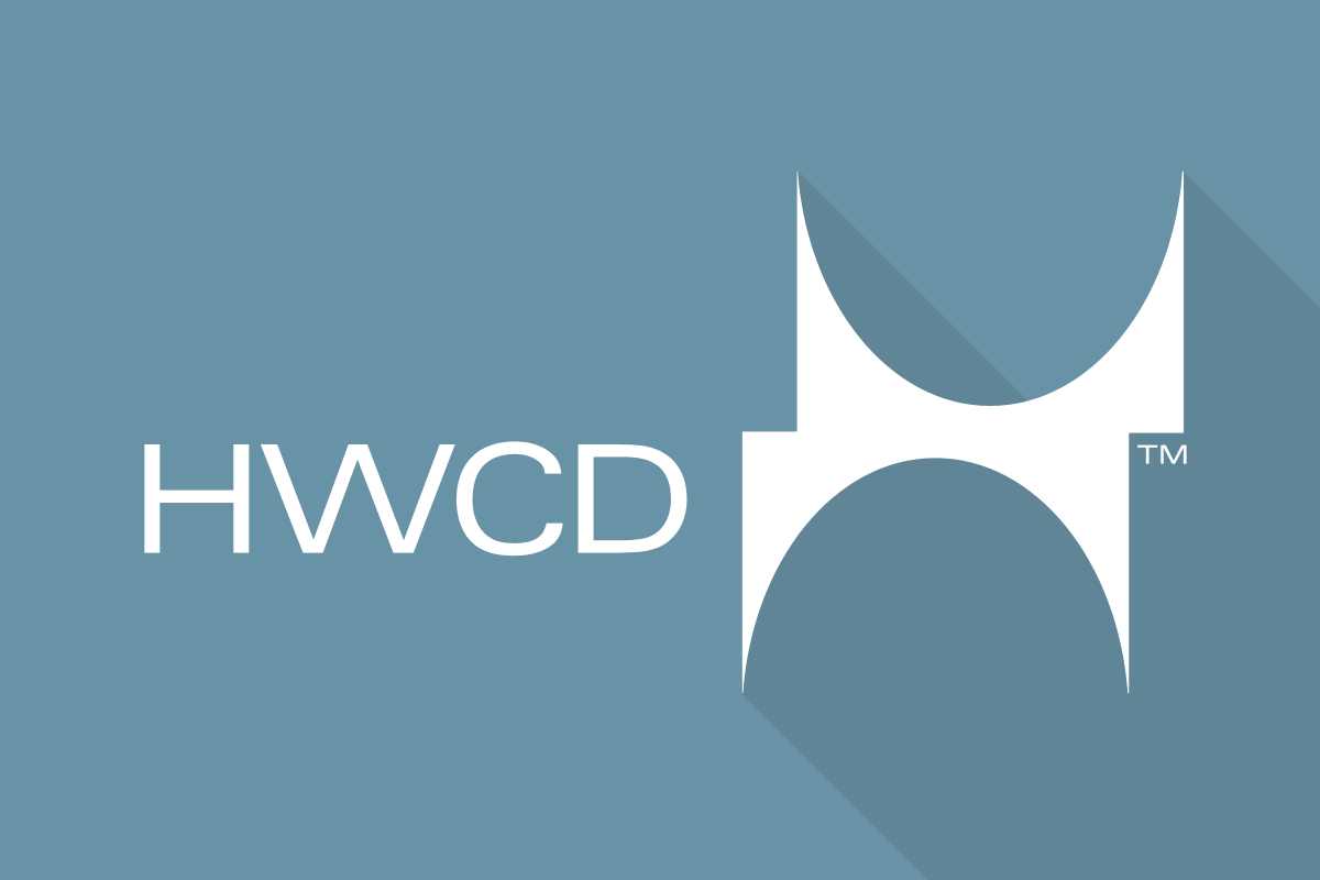 Hugh Collins, Creative Director