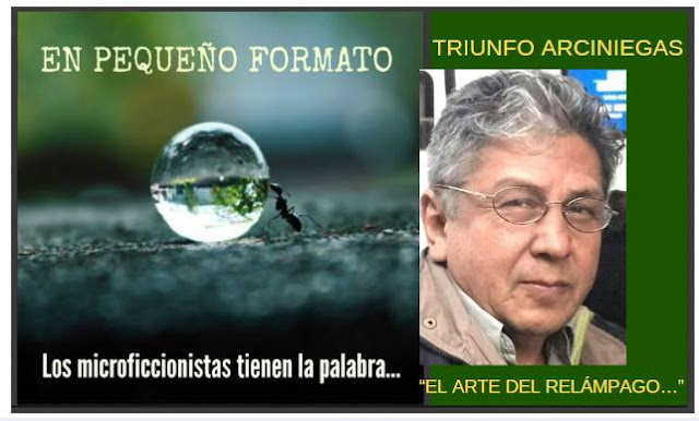 De otros mundos: Triunfo Arciniegas / En pequeño formato / El arte del ...