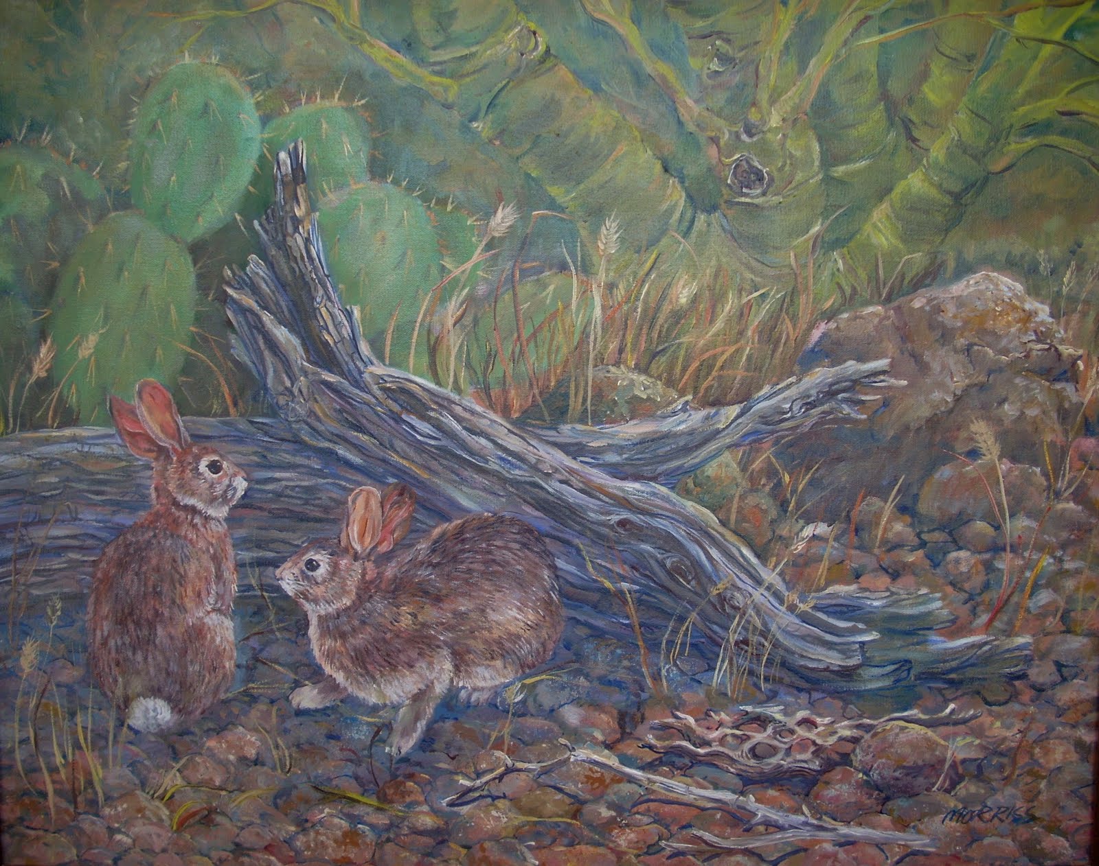 Art from Utopia: Rabbits