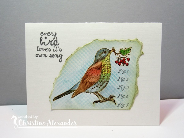 It's a card days night: Split coast Stampers Challenges