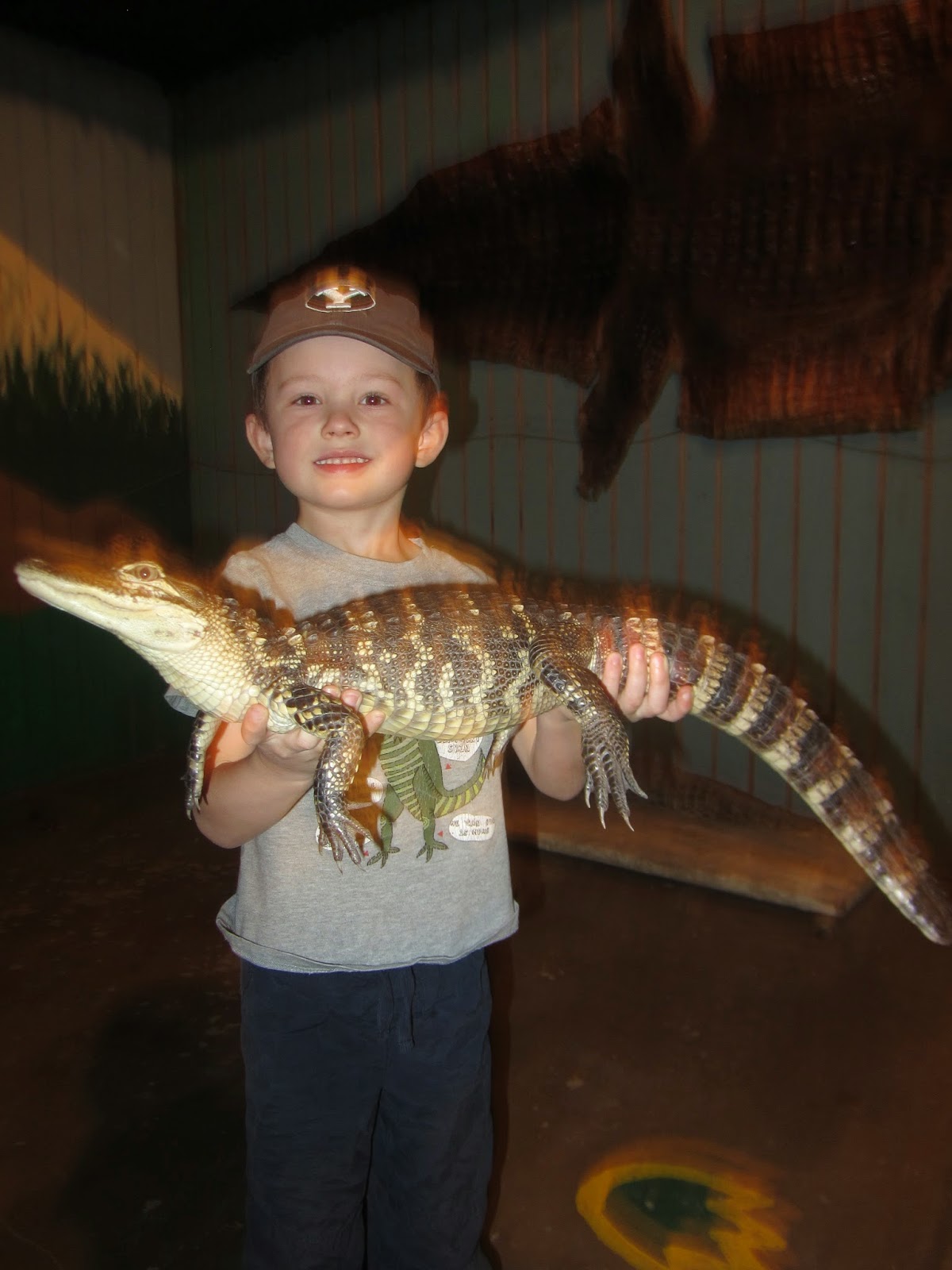 Brian & Angela Anderson Family: Colorado Gator Farm
