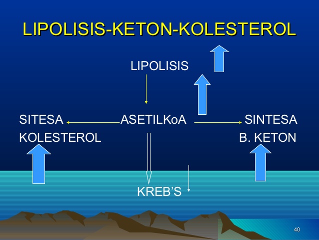 rian 15.23 Chemistry