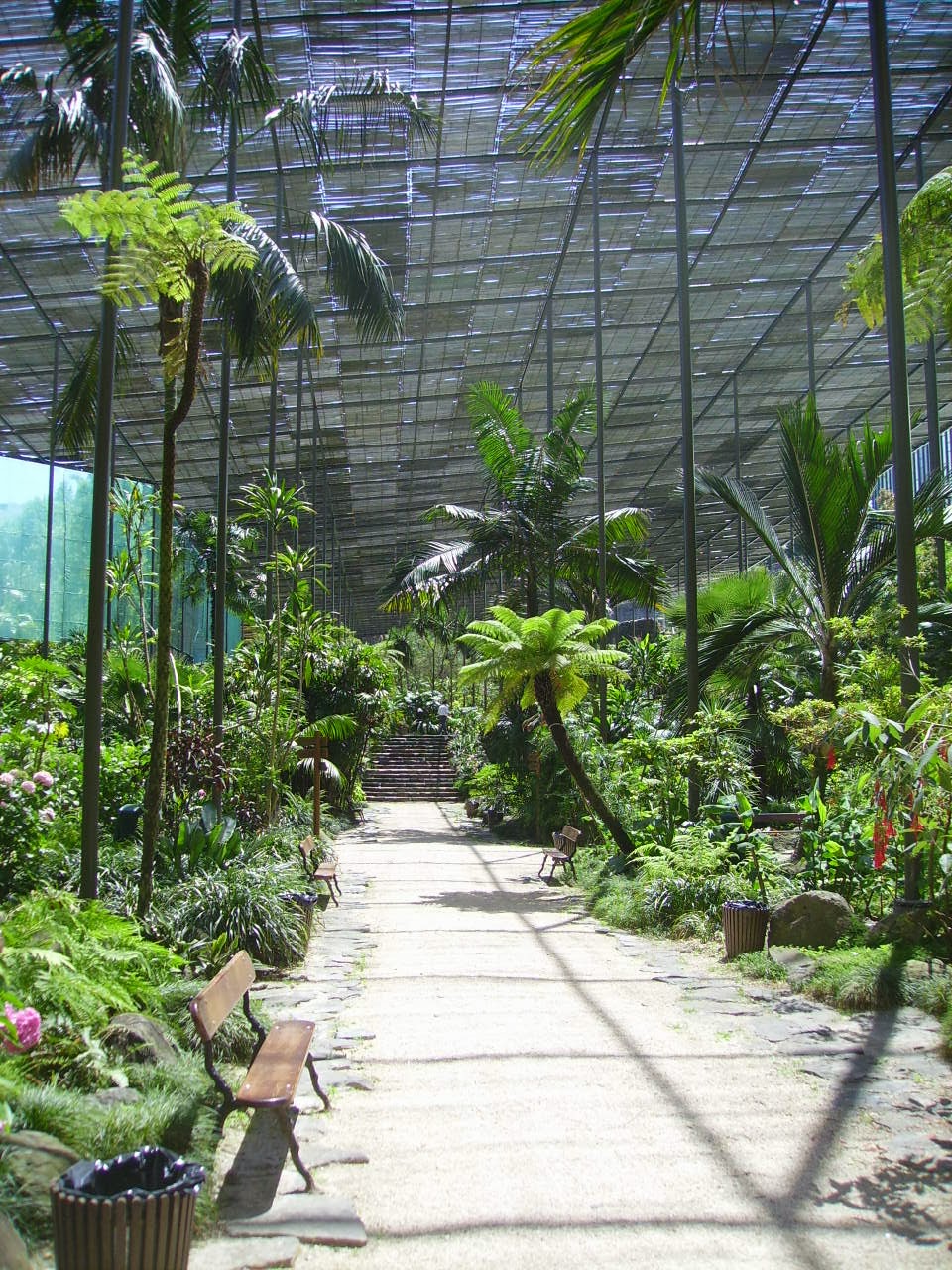 mélange: estufa fria