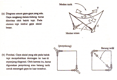 Struktur Cangkang - Bijeh Team